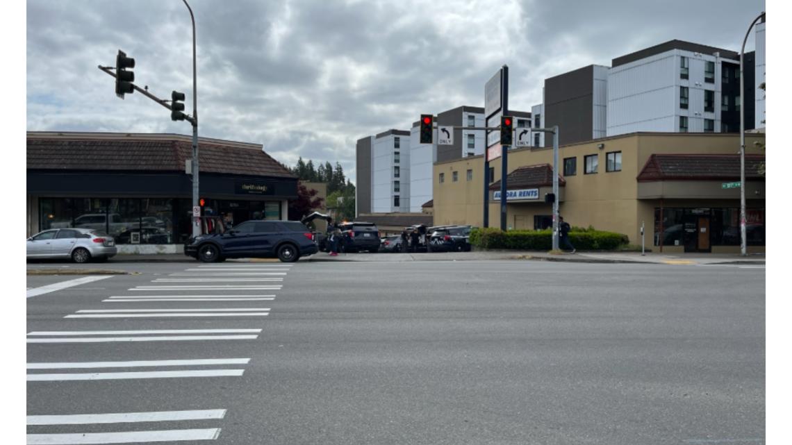 Seattle police arrest suspect after SWAT negotiation in Lake City ...