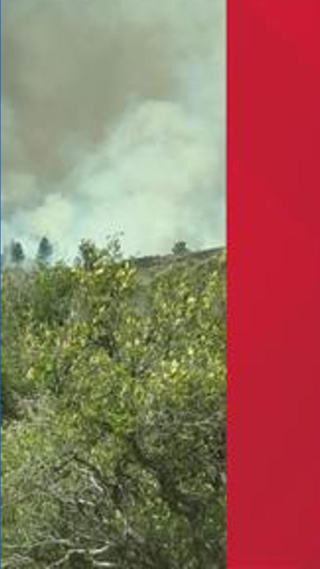 Kittitas County brush fire prompts evacuation notices | king5.com