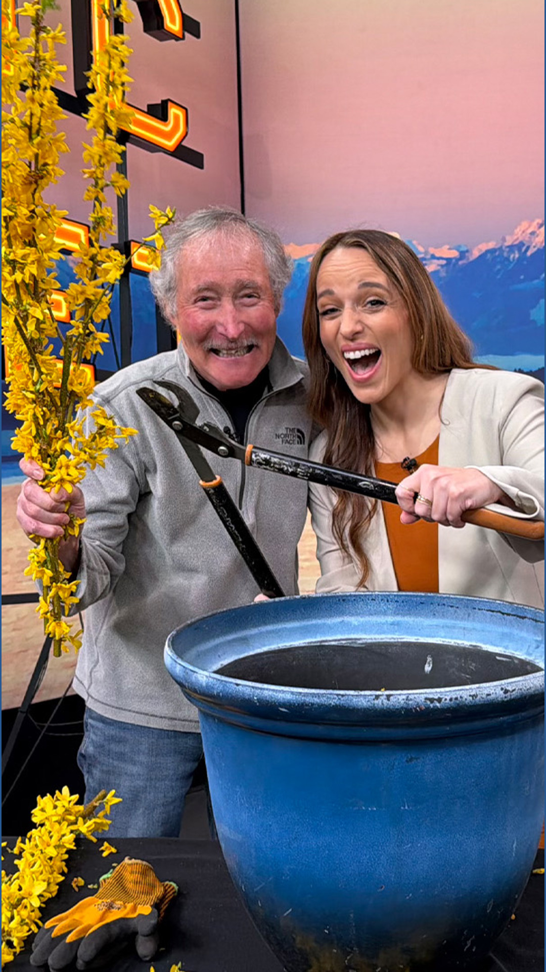 How to prune Forsythia the right way - New Day NW | king5.com