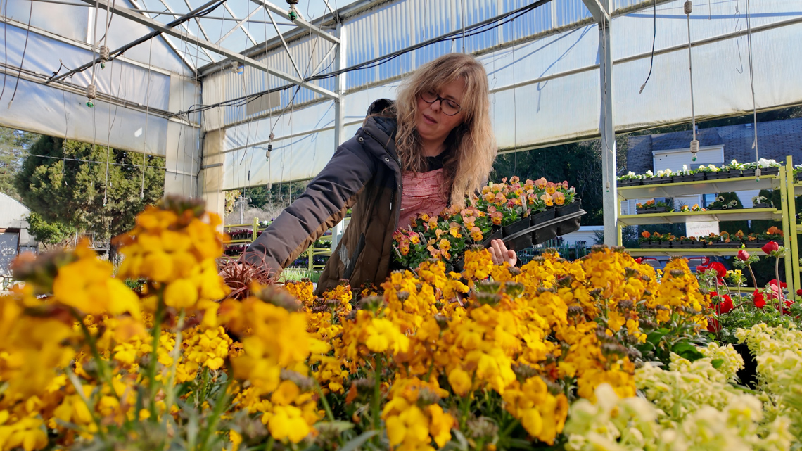 From garden coaching to YouTube star Kate David grows success | king5.com
