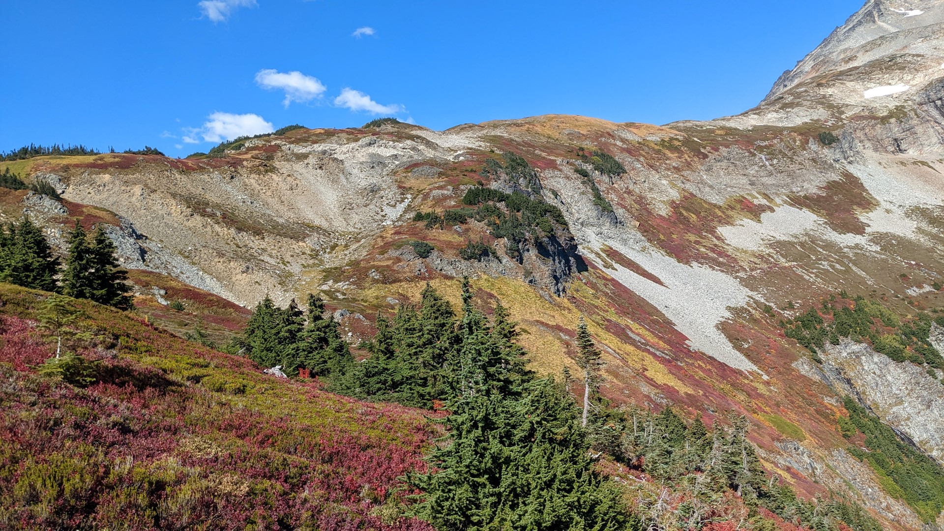 Here's when to expect vibrant fall colors across Washington | king5.com