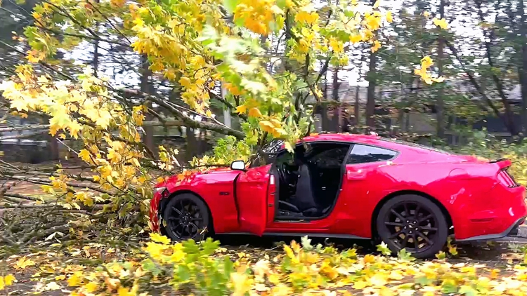 Mayoral Candidate Katie Wilson talks housing, transit and Trump-proofing Seattle | king5.com