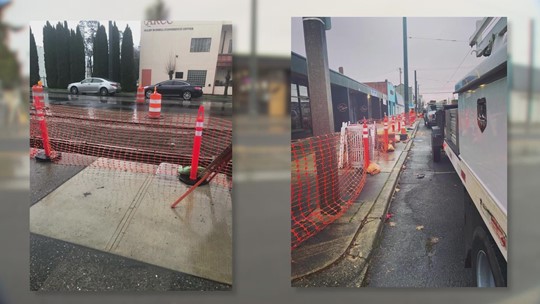 Ghost forest reveals clues to the Cascadia Subduction Zone’s last ...