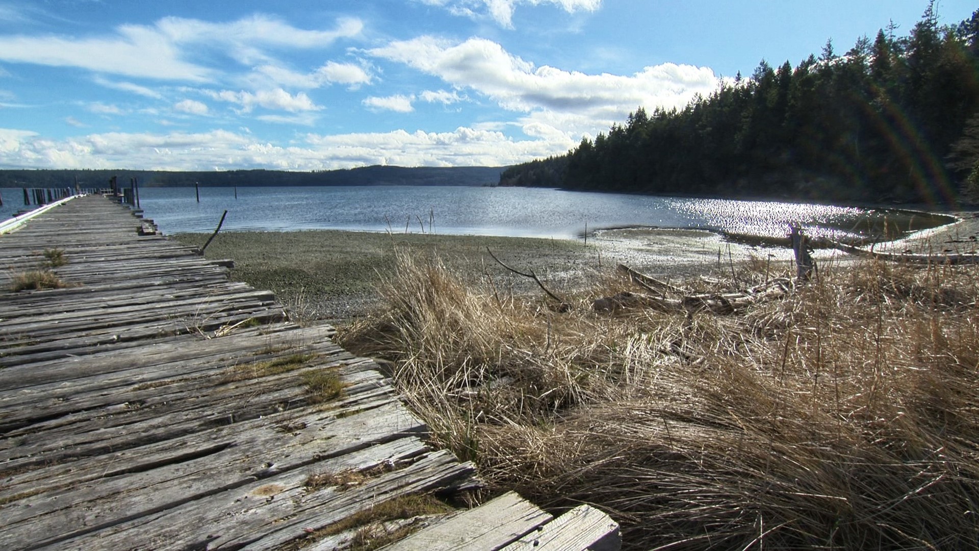 Meet the family who raised shellfish in Washington for 100 years ...