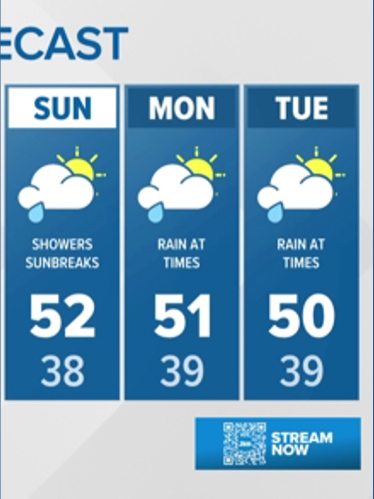 Scientists will monitor Lumen Field seismic activity during Seahawks ...