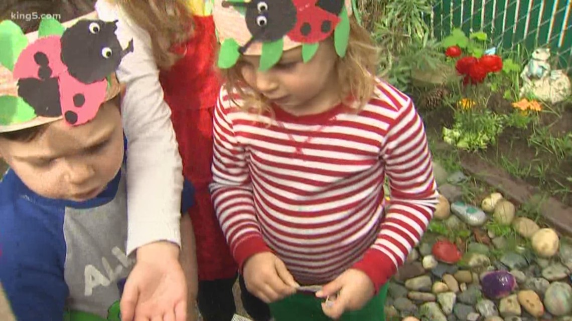 Seattle preschoolers release thousands of ladybugs to help their ...