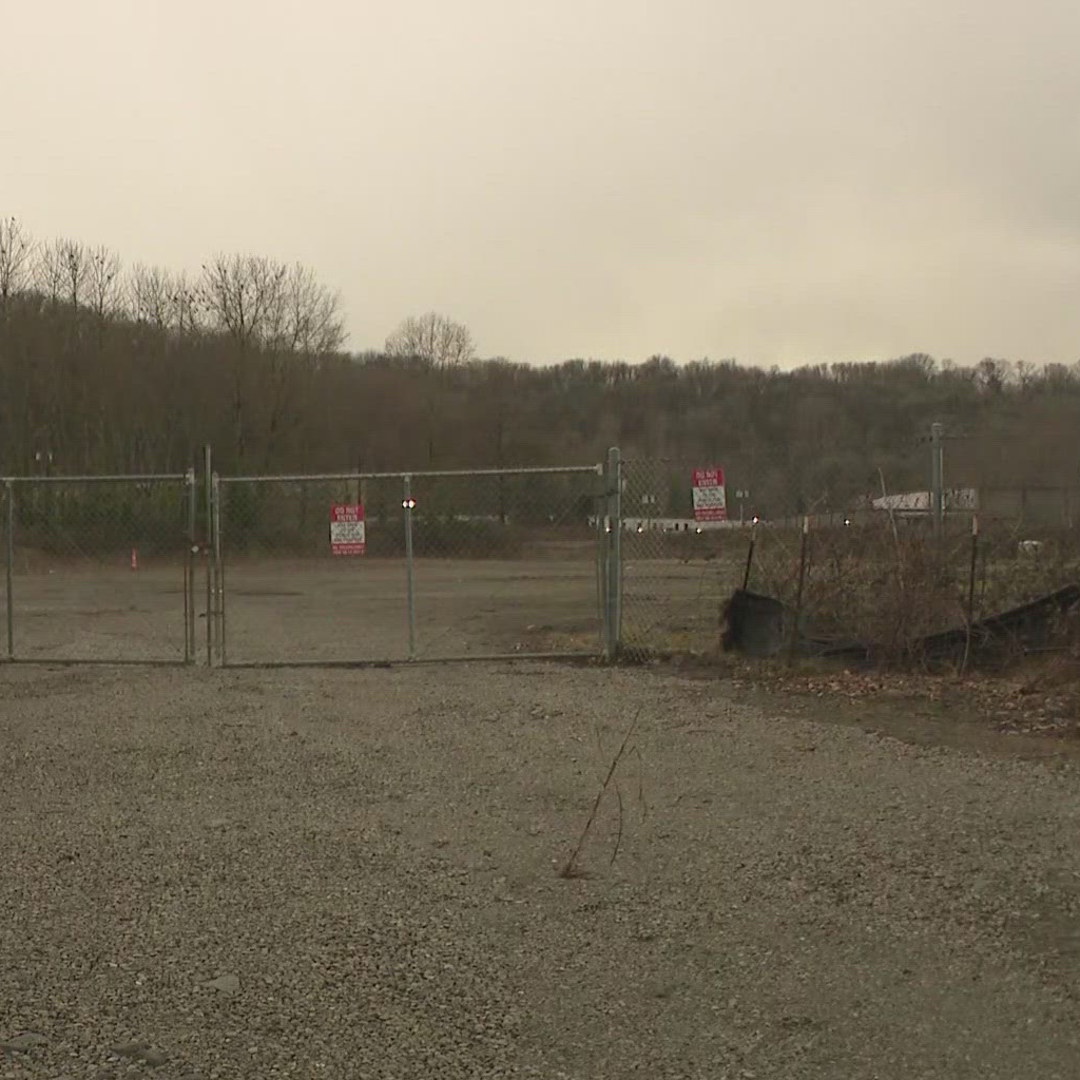 Scientists will monitor Lumen Field seismic activity during Seahawks ...