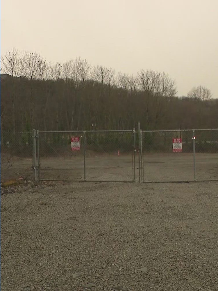 Scientists will monitor Lumen Field seismic activity during Seahawks ...