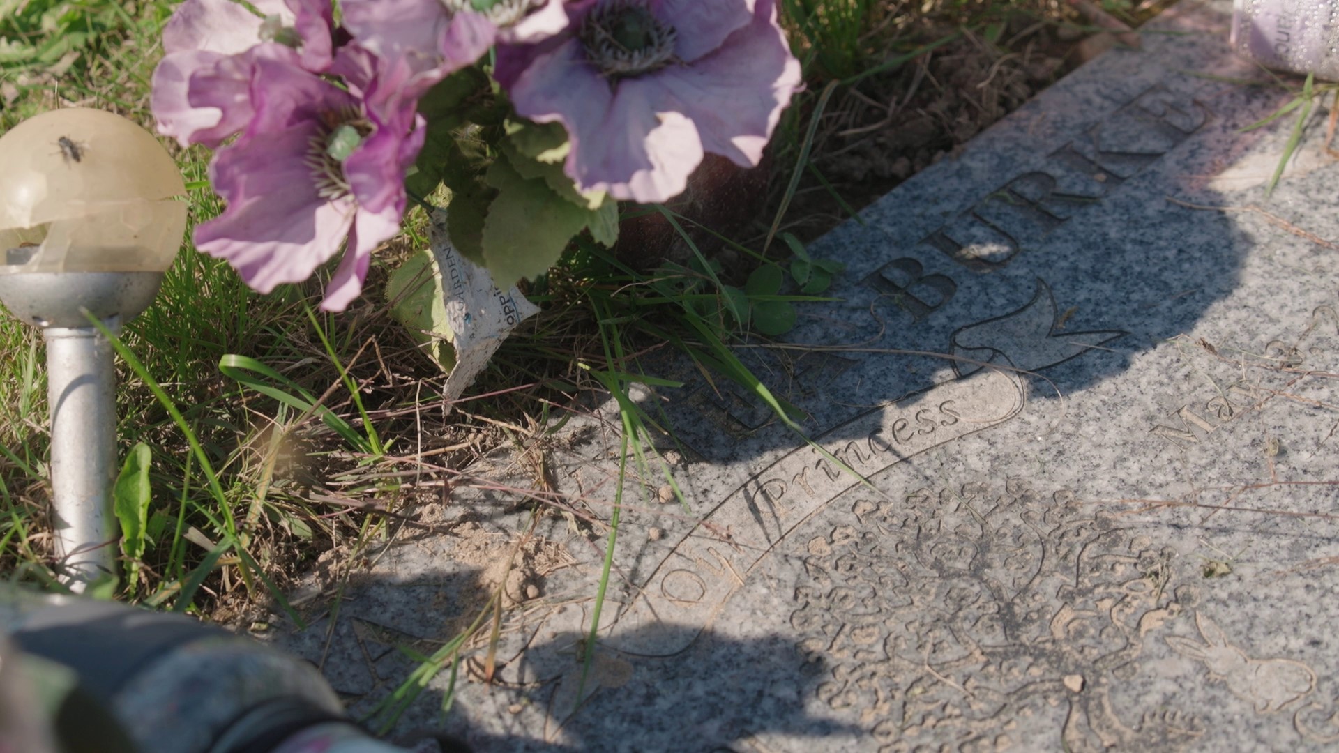 Unsolved Northwest: Who killed Sara Burke? | king5.com