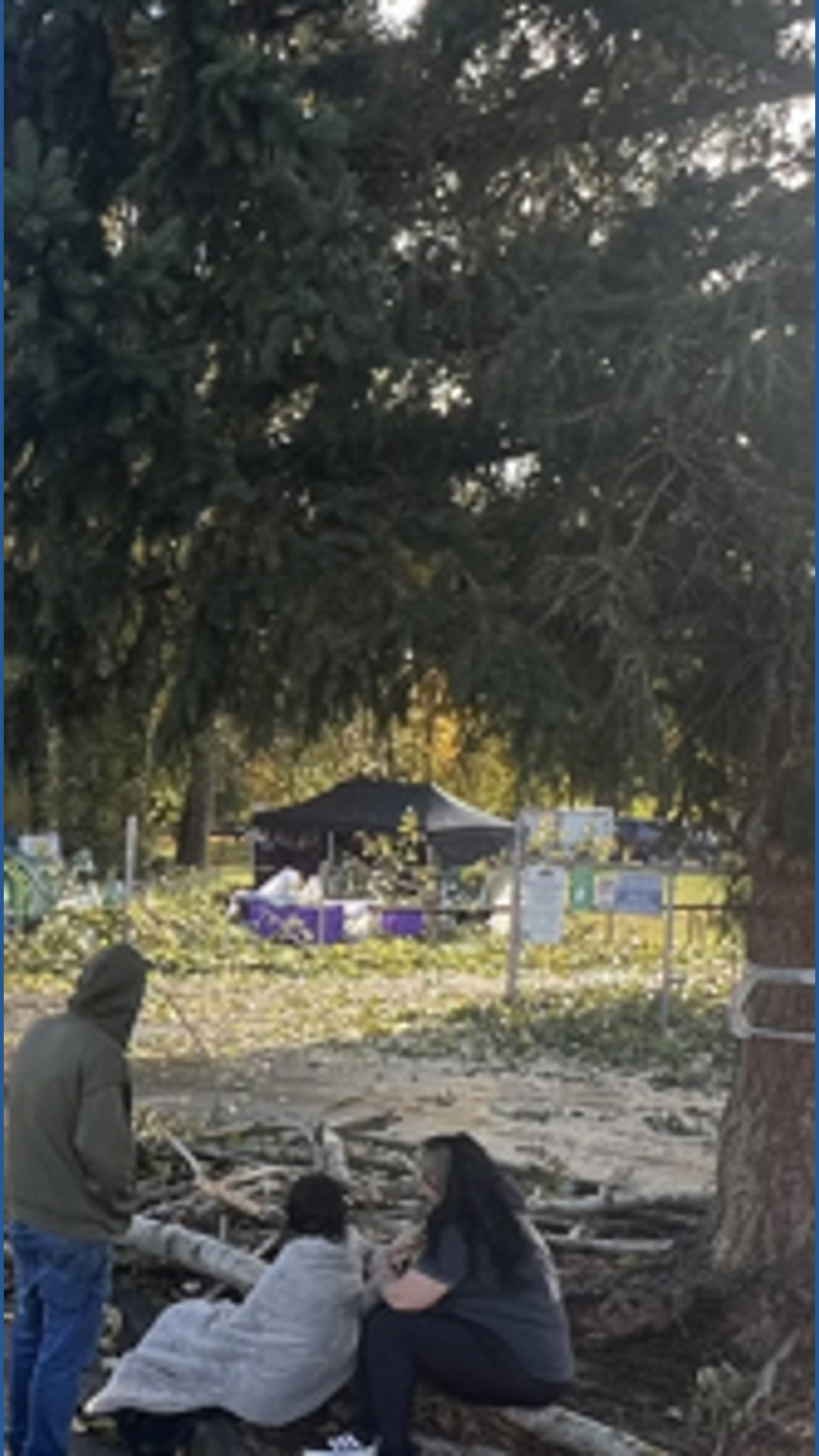 Fallen tree kills 1 at Pierce County Halloween event | king5.com
