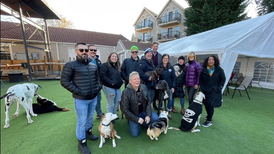 Pups and pints make this Columbia City place a winner - 2022's Best ...