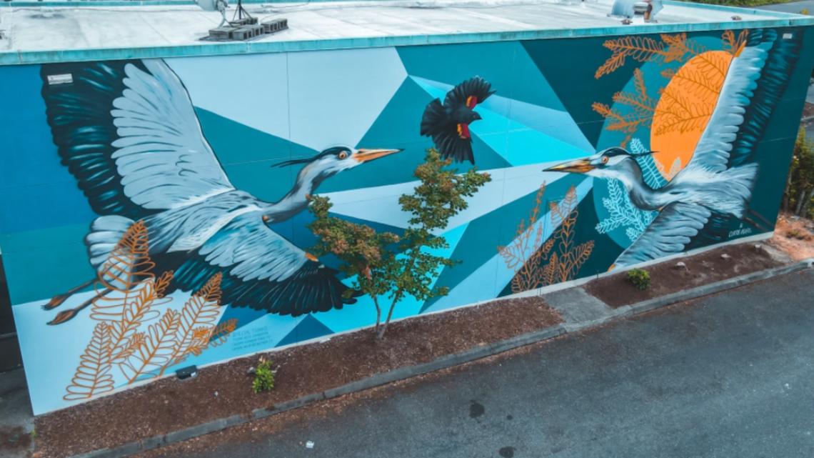 Curtis Ashby's bird murals inspire South Sound with vibrant art | king5.com