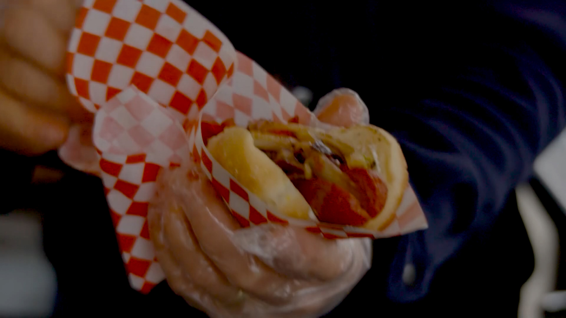 First ever sea lion pup born at Point Defiance Zoo & Aquarium | king5.com