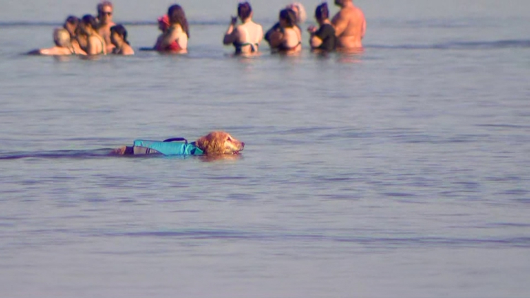 WSDOT released its summer construction project plan | king5.com