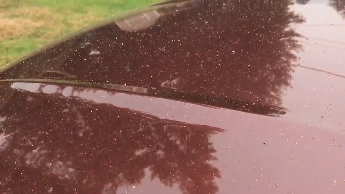 Here's how to get wildfire ash off your car | king5.com