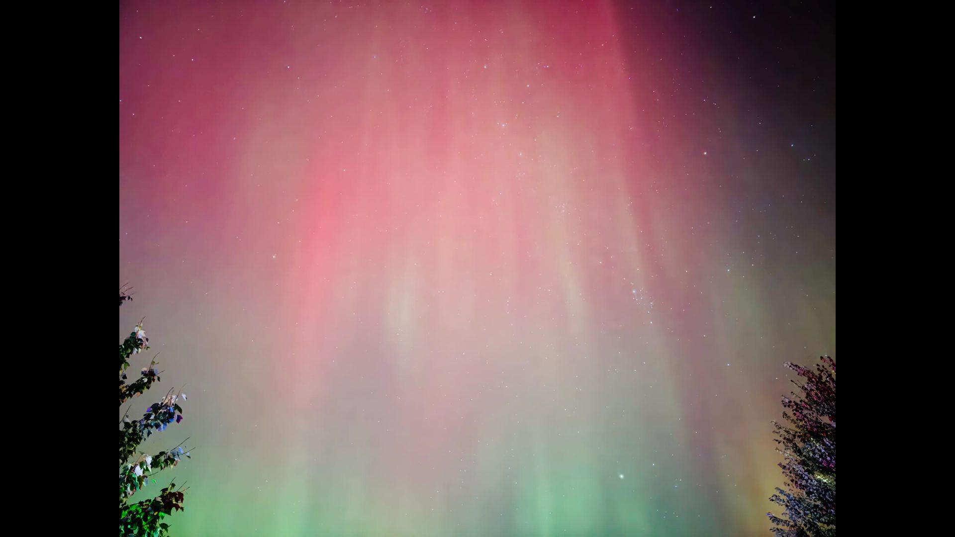 PHOTOS: Northern lights over Washington state | king5.com