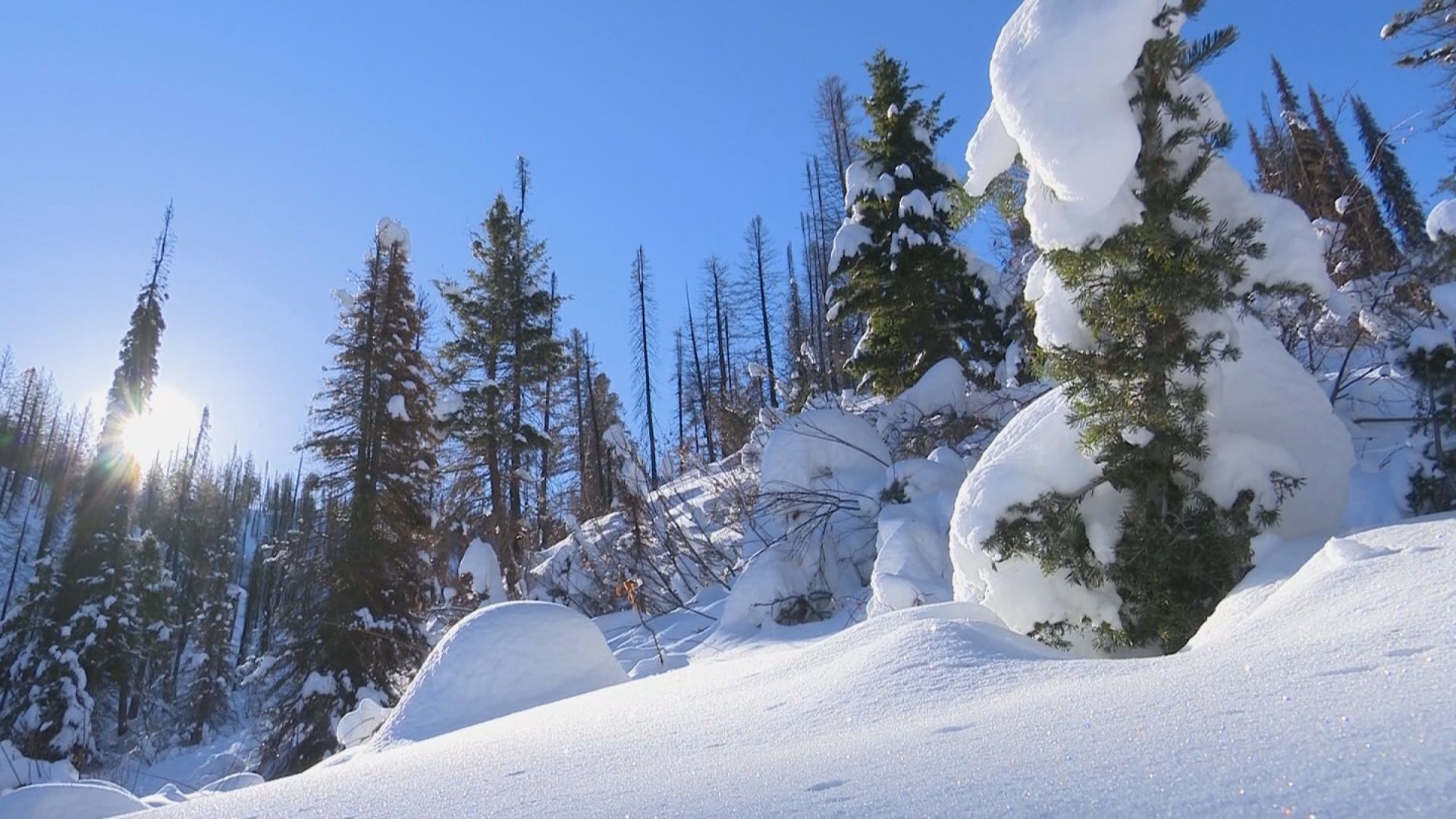 How does Washington's snowpack compare to last year? | king5.com