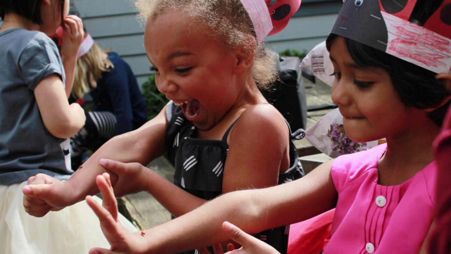 Seattle preschools release thousands of ladybugs for Earth Day | king5.com