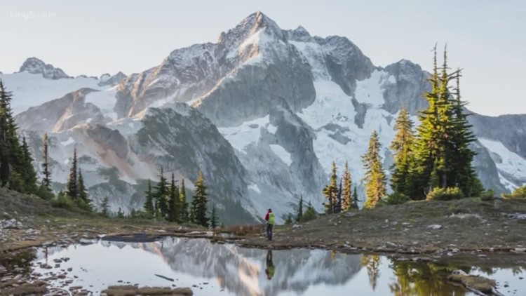 Blue corn dog among Mariners' new food offerings for 2025 season ...