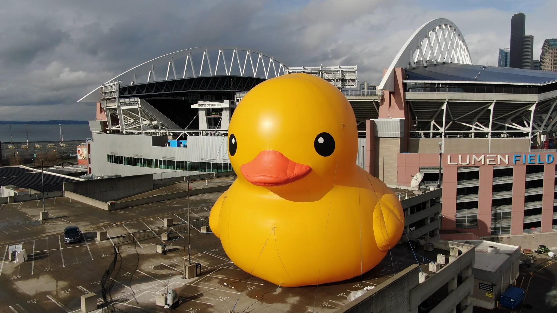 Duck! It's the Seattle Boat Show is up and running | king5.com