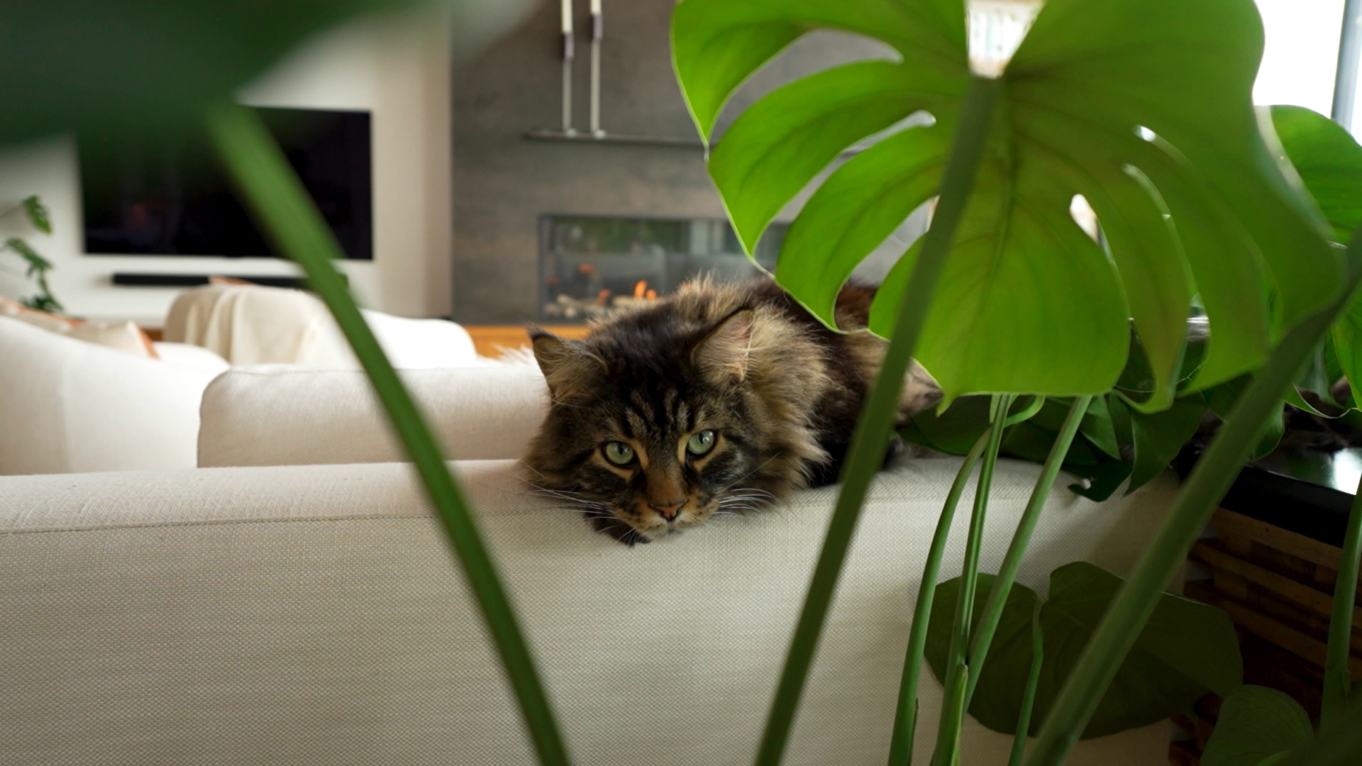 How to master the art of 'Hygge' in your home - At Home with Keri ...