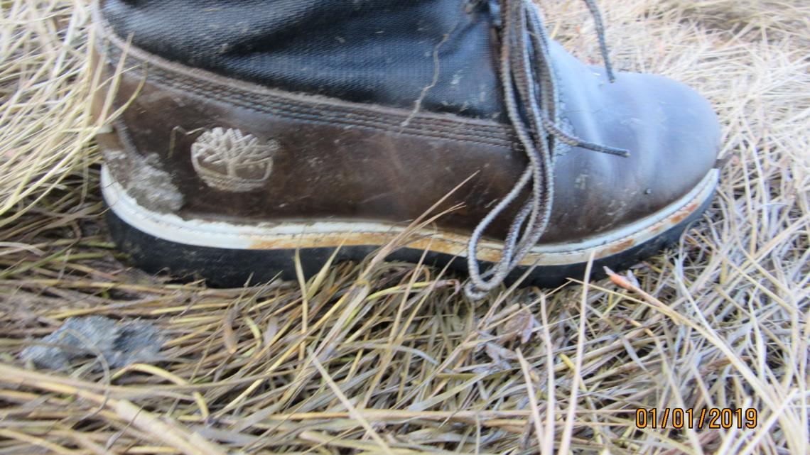 Why do human feet inside of shoes wash ashore in the Salish Sea ...