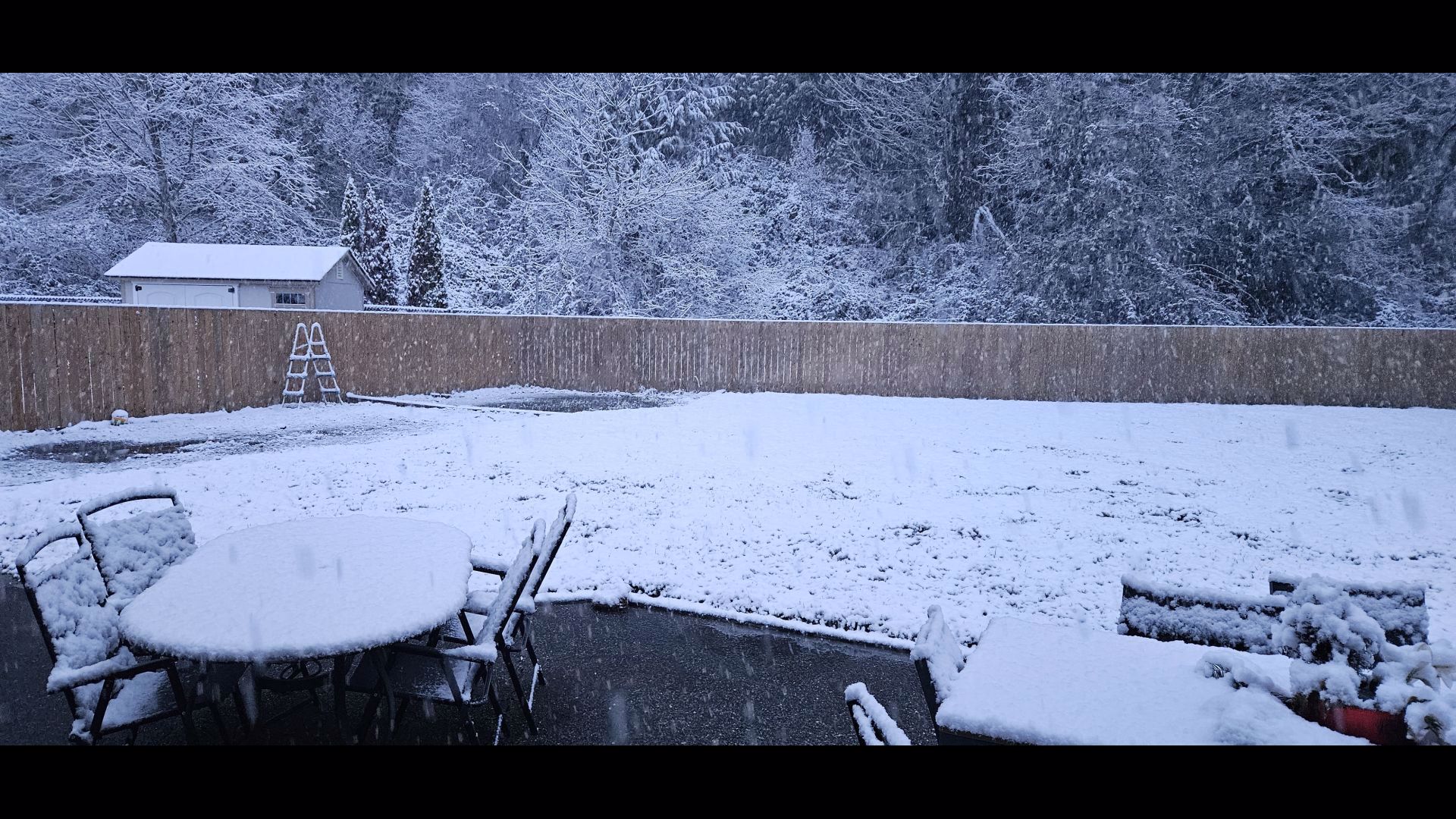 Icy, snowy conditions cancel school in south Puget Sound | king5.com