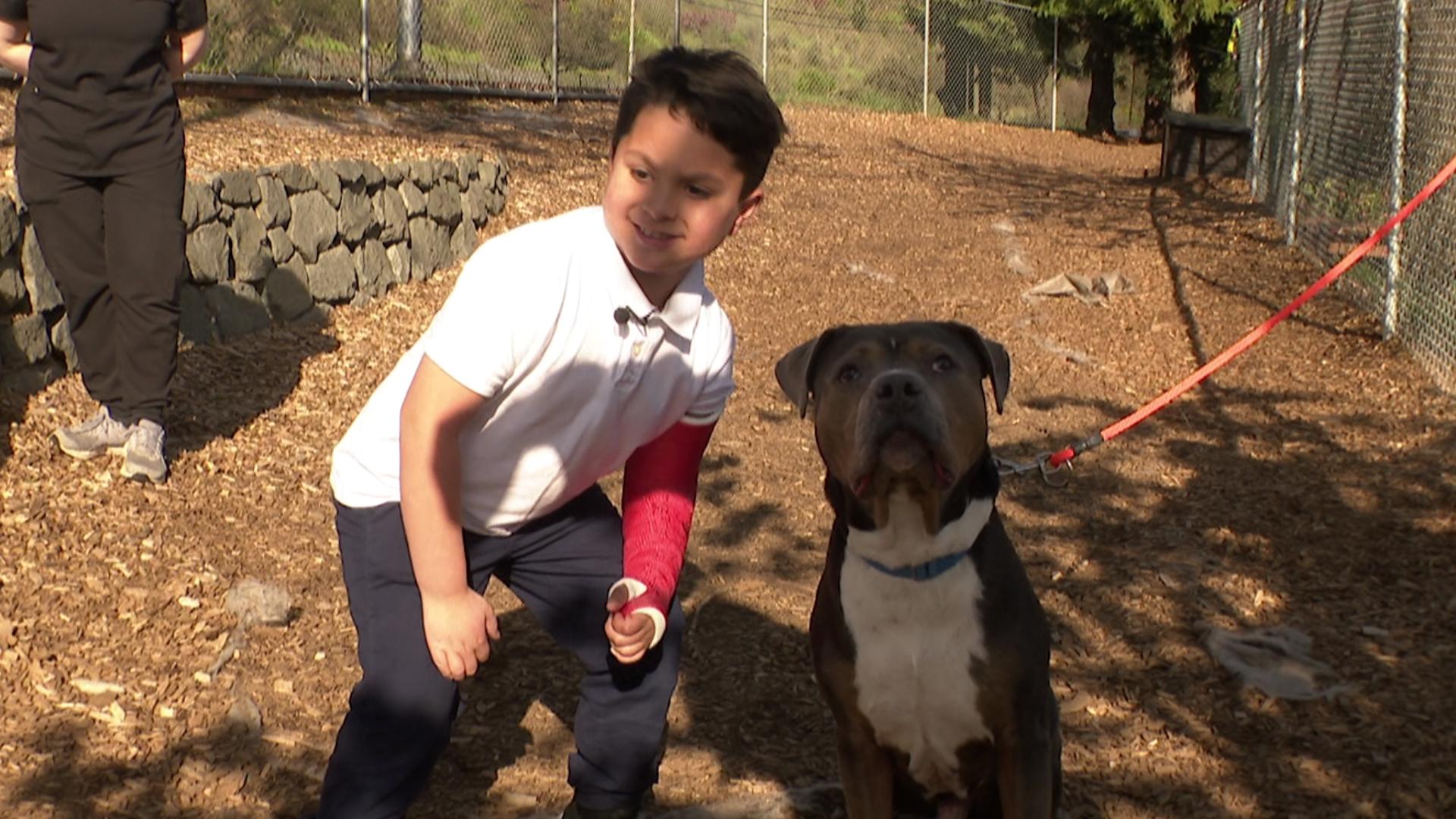 Blue corn dog among Mariners' new food offerings for 2025 season ...