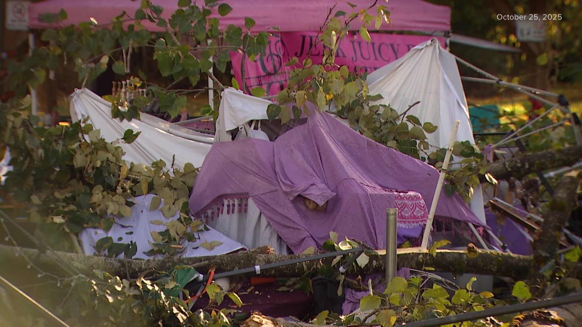 Vendors struggle to recover after deadly tree collapse at Washington ...