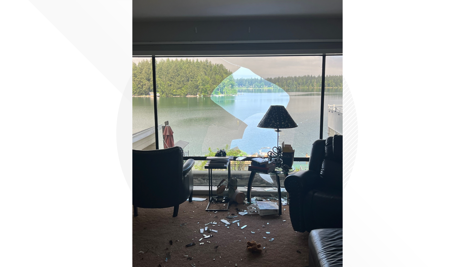 Bald eagle breaks through window at a home on American Lake | king5.com