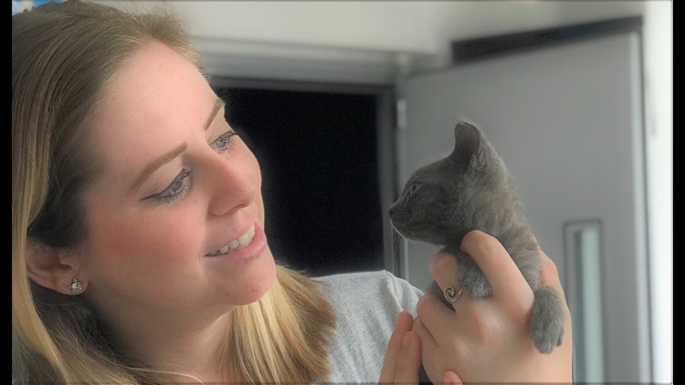 Ashley Morrison's Instagram, Twitter & Facebook on IDCrawl