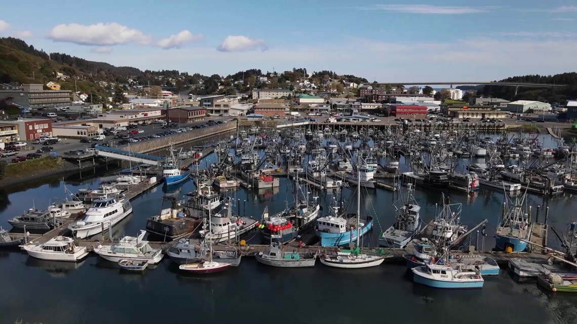 How 10 billion snow crab vanished from Alaskan waters and what it means for the seafood industry ...