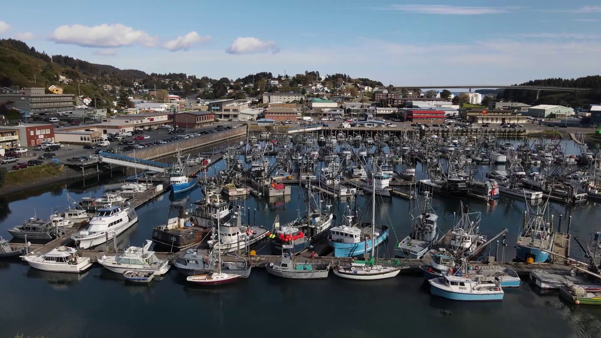 How 10 billion snow crab vanished from Alaskan waters and what it means ...