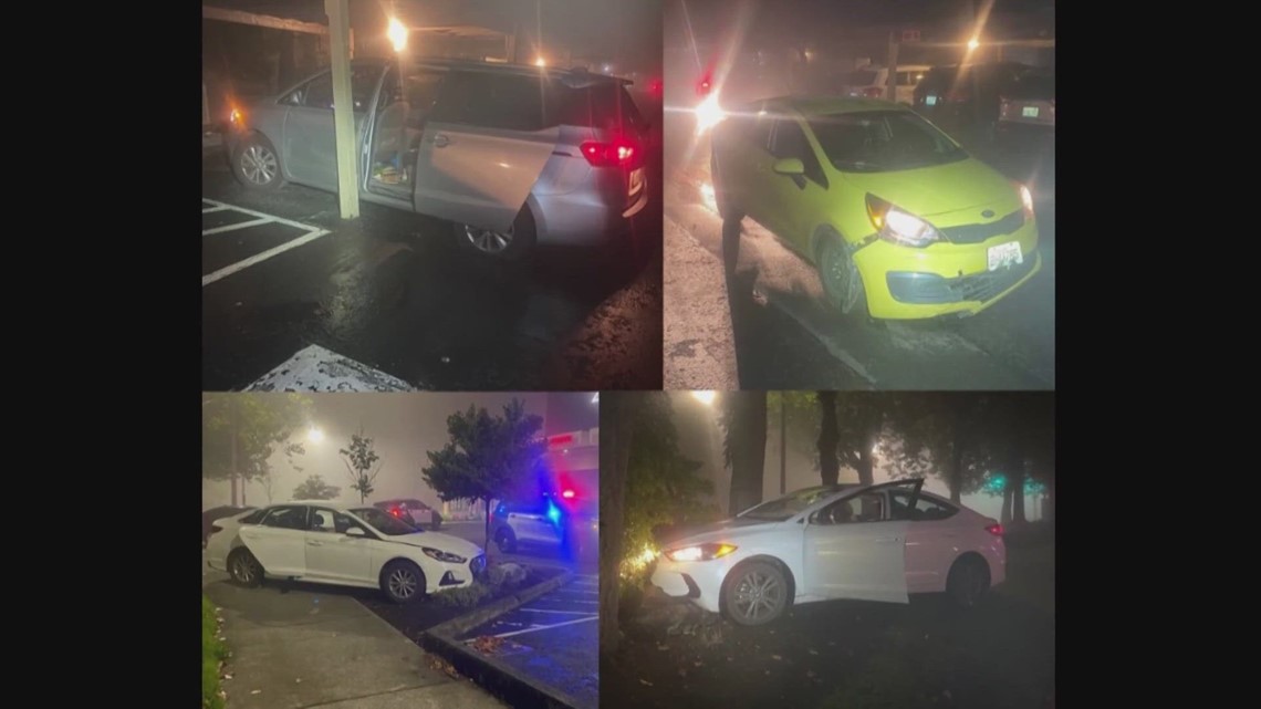 TikTok challenge 'Kia Boyz' becomes public safety issue changing lives ...