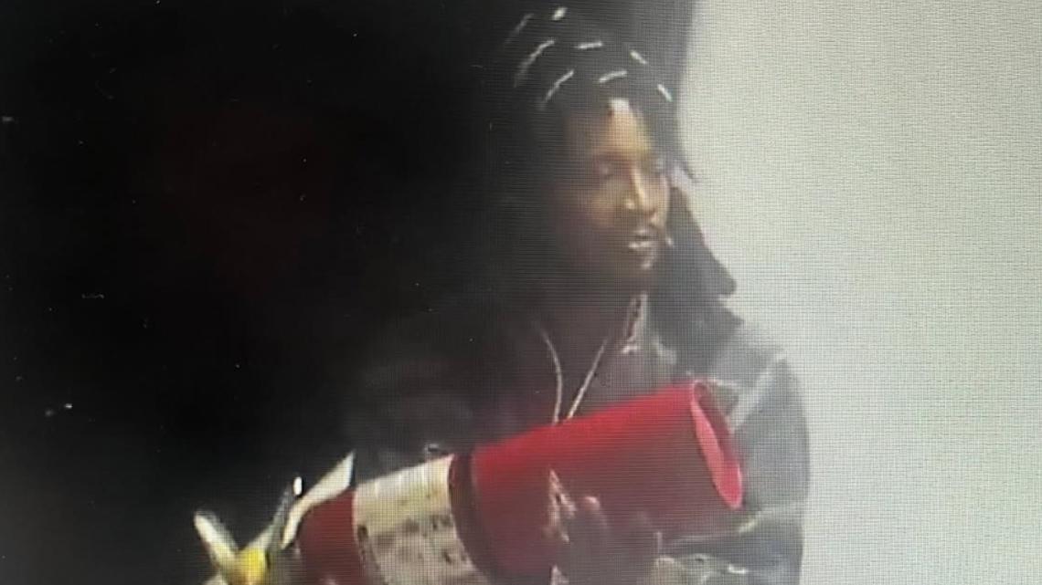 Suciasaurus rex becomes official Washington state dinosaur | king5.com