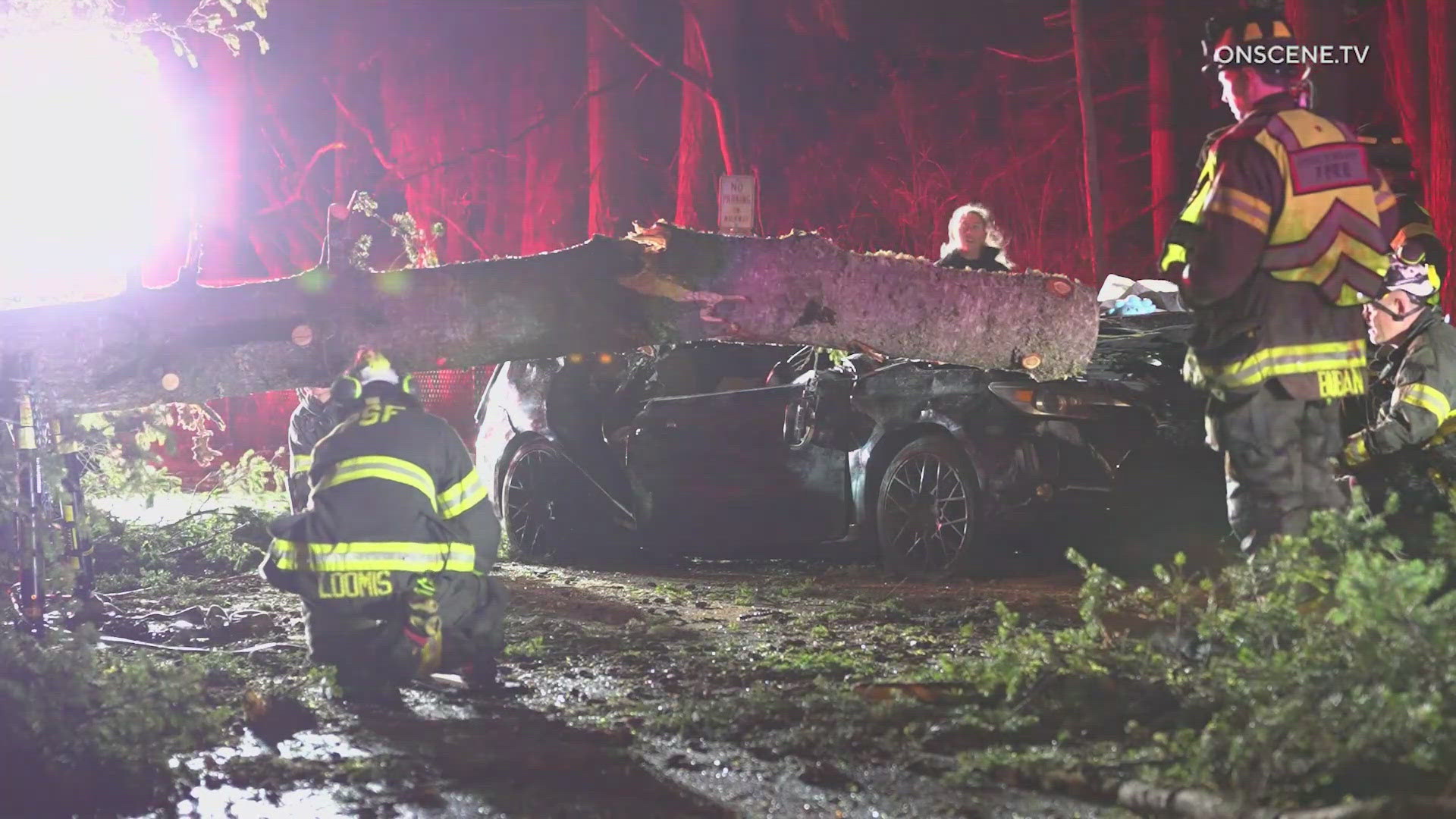 Fallen trees cause scattered power outages in King County after windy ...