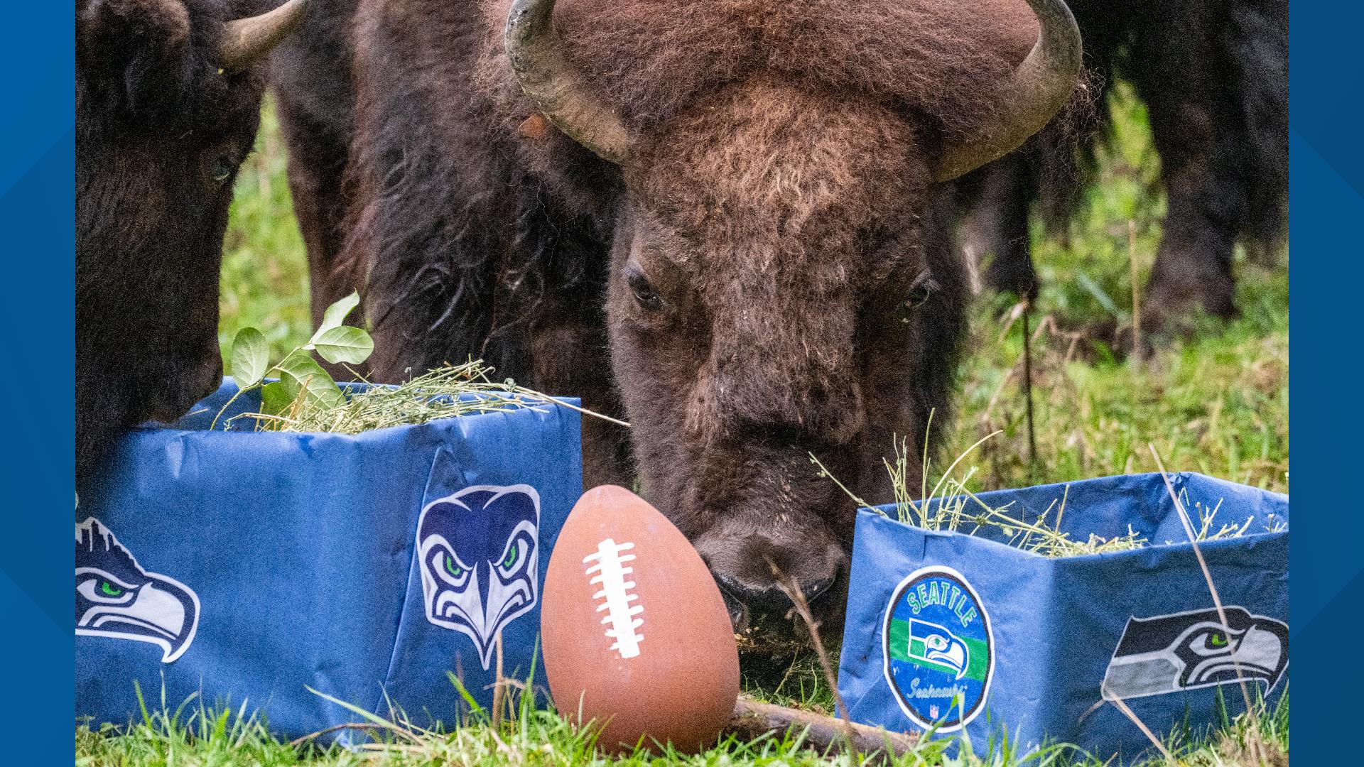 PHOTOS: Western WA shows off Seahawks pride on Blue Friday | king5.com