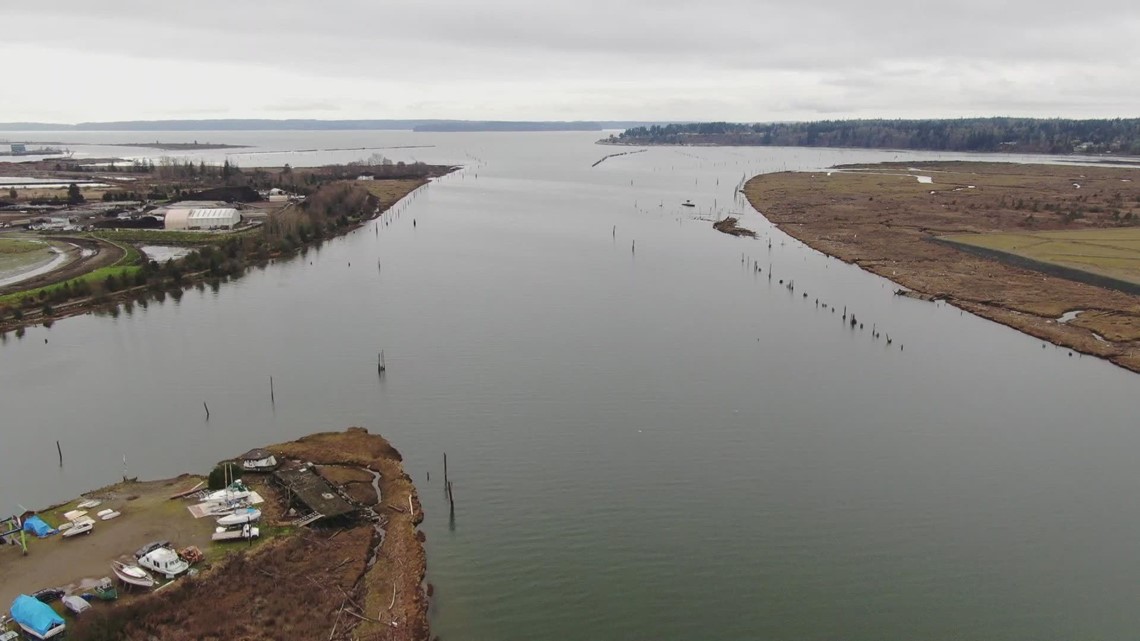 Multi-part effort to save salmon in Snohomish River Watershed | king5.com