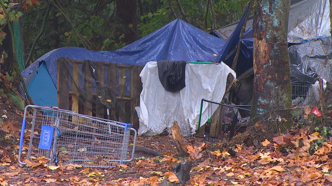 'It's a daily misery': Neighbors demand end to notorious Bellingham ...