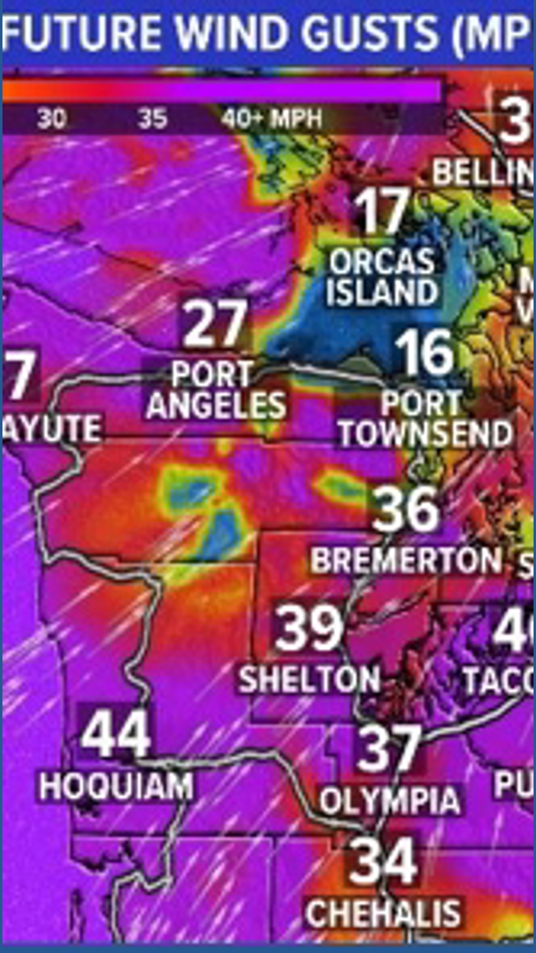 Western Washington braces for widespread flood watch as heavy rain ...