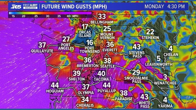 Western Washington braces for widespread flood watch as heavy rain ...