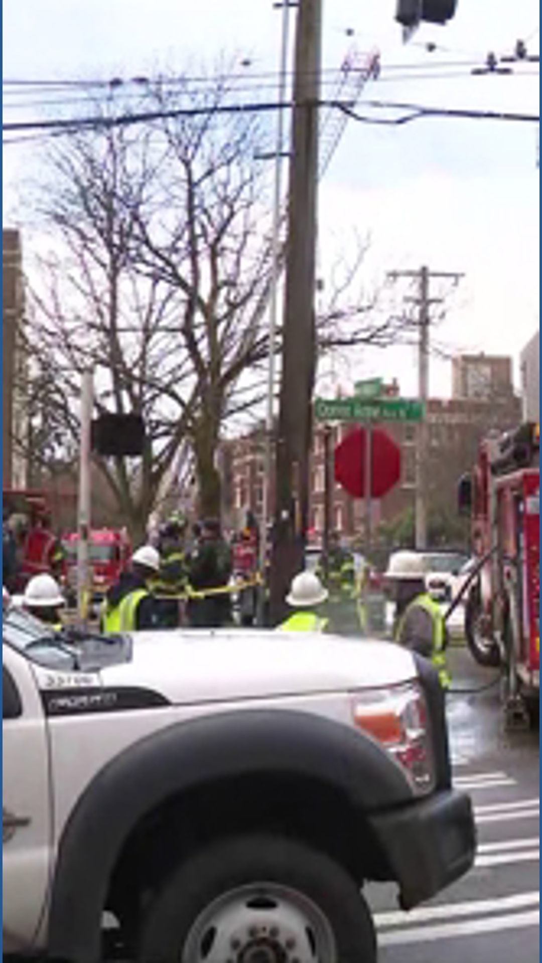 Operator rescued after crane crashes into power pole in Queen Anne ...