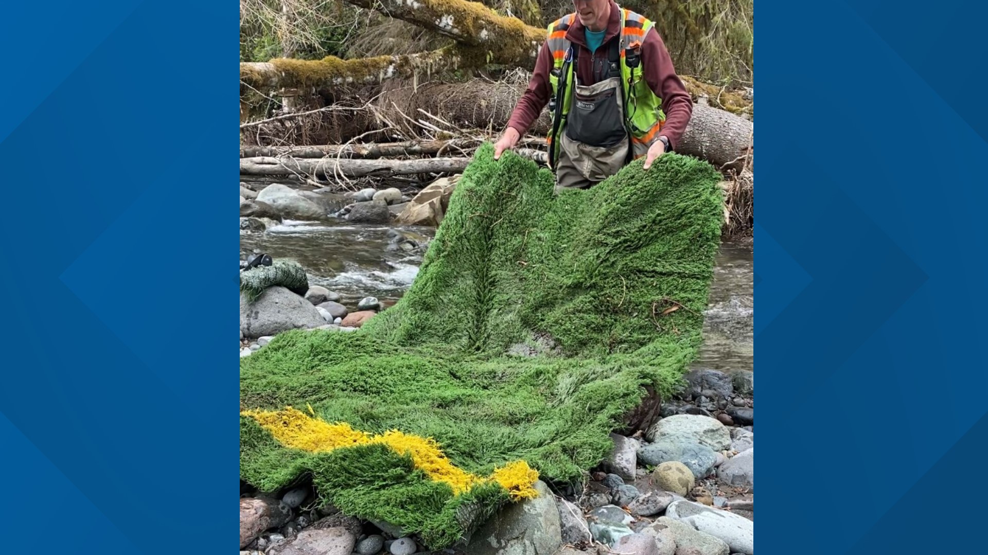 Puyallup Tribe raises new alarms for fish impacts of embattled Electron ...