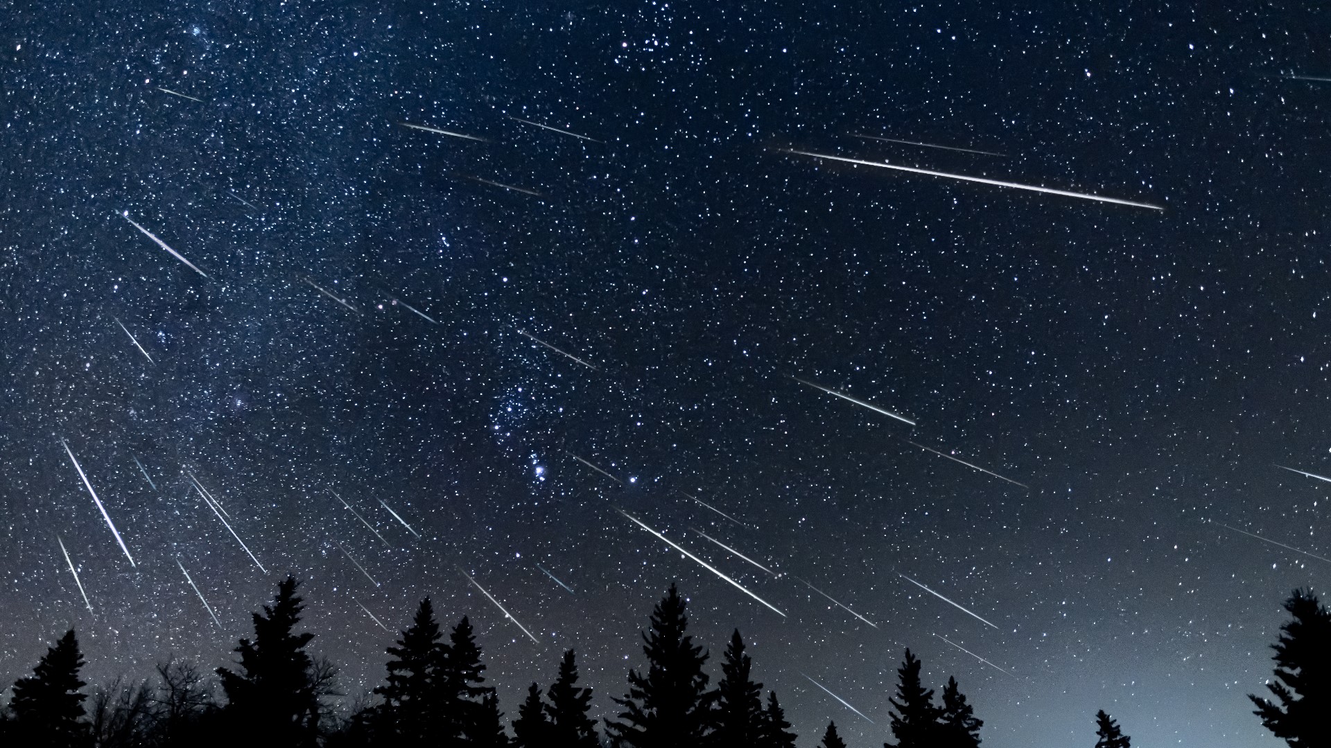 What to know about watching the Perseids in Washington | king5.com