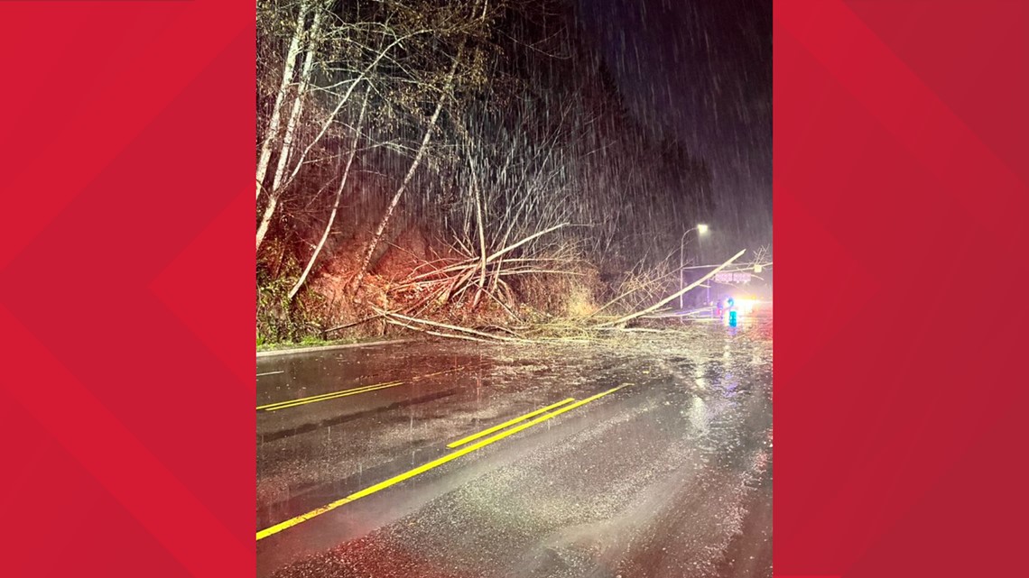 Landslide blocking Maple Valley Highway in Renton | king5.com