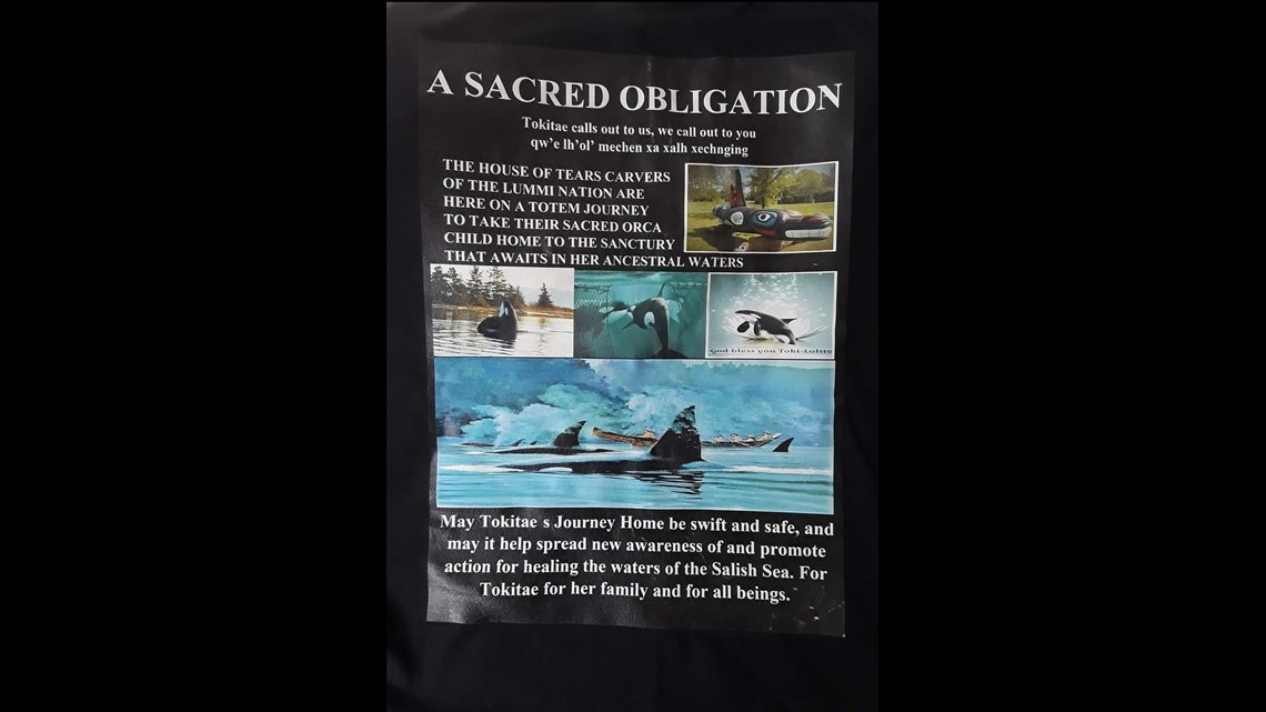 Indigenous groups worldwide praying for orca Tokitae's return | king5.com