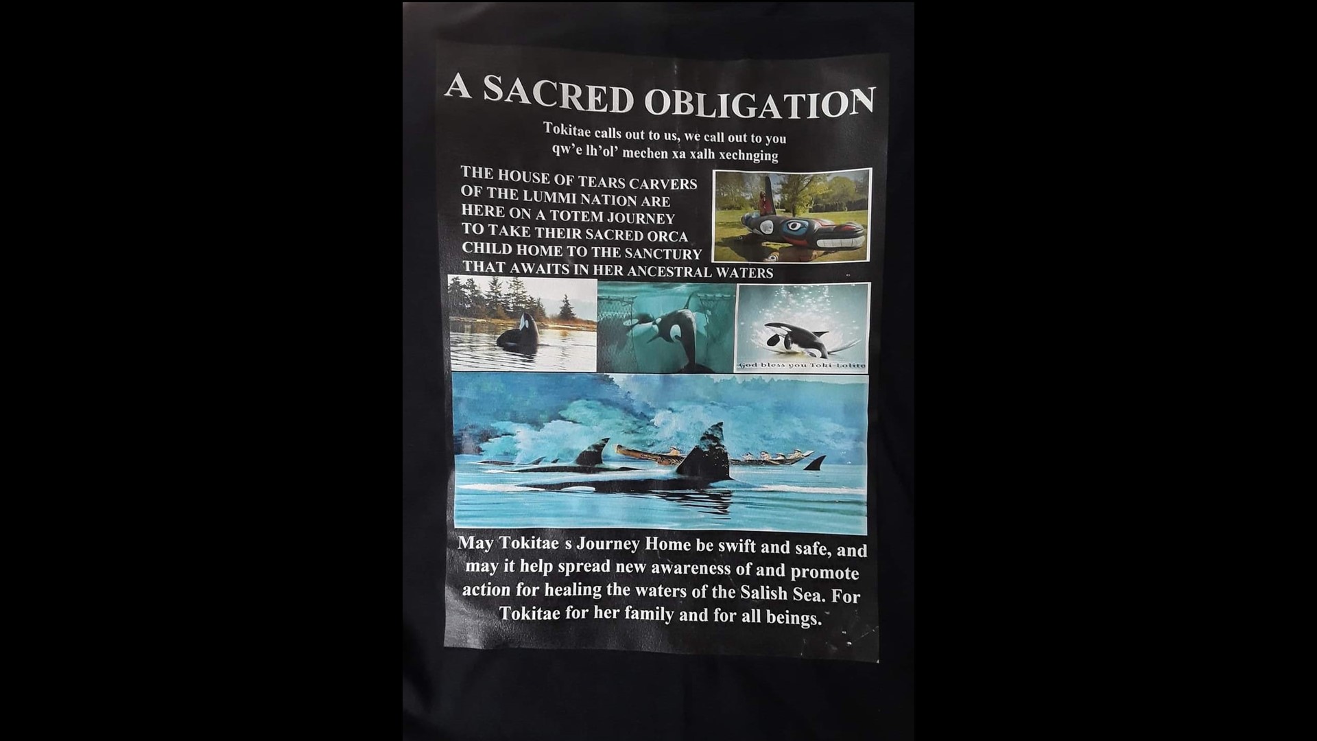 Indigenous groups worldwide praying for orca Tokitae's return | king5.com