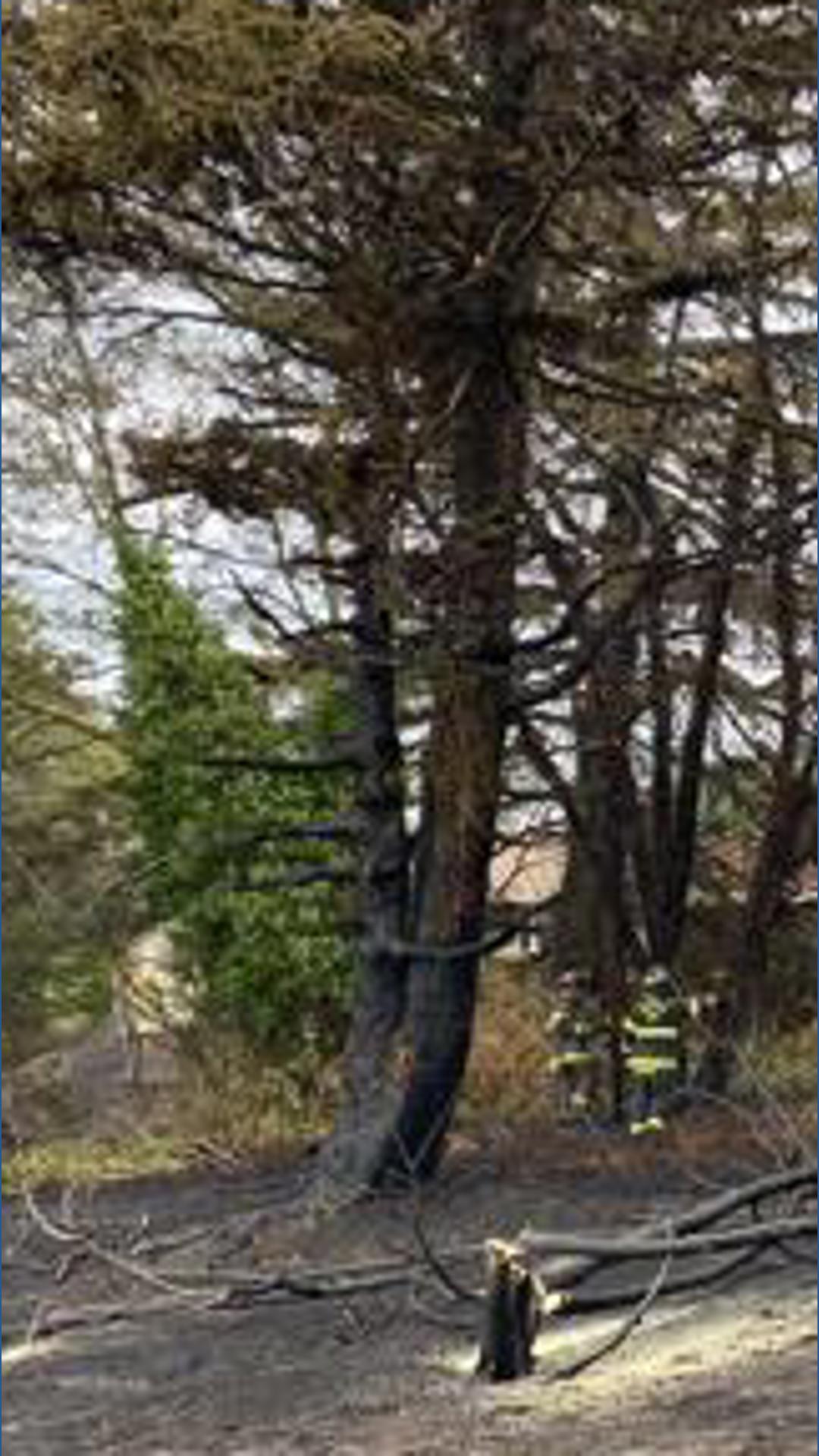 Two-alarm fire disrupts traffic on Interstate 5 | king5.com