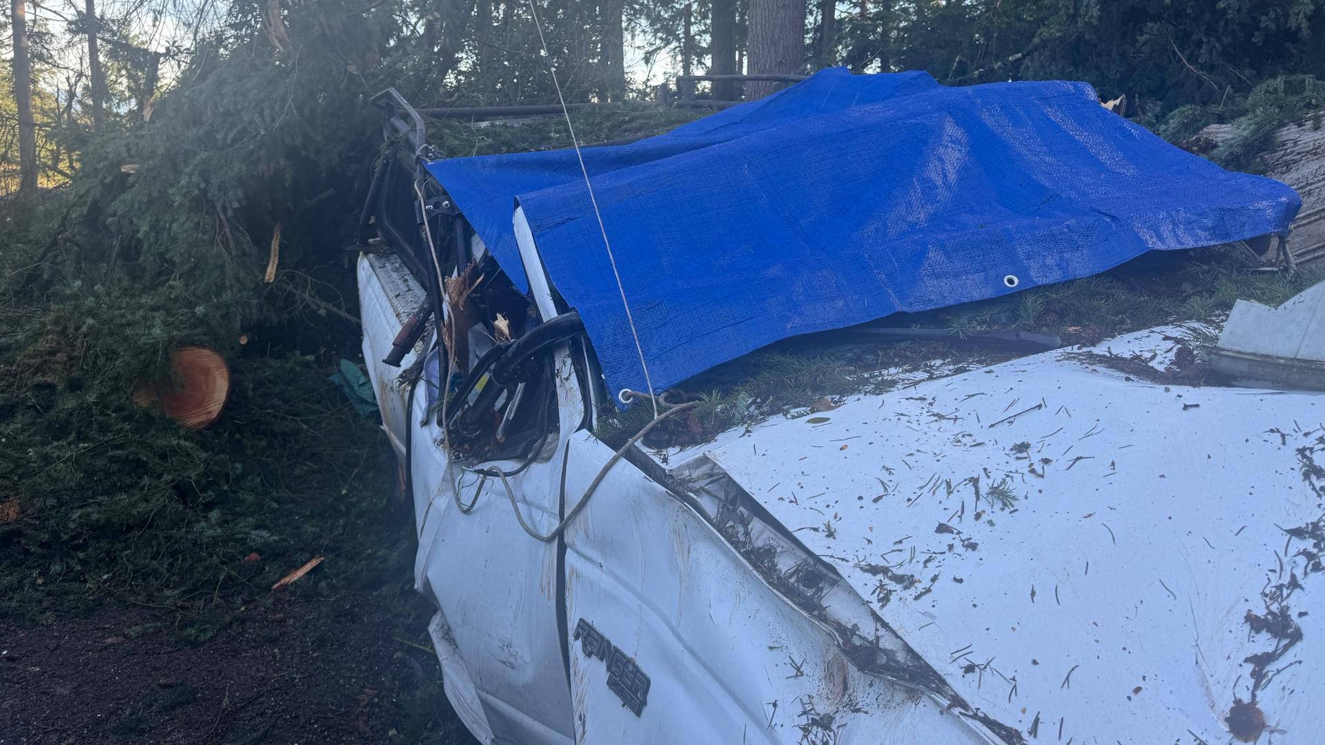 Bellevue family still cleaning up after bomb cyclone damages home ...