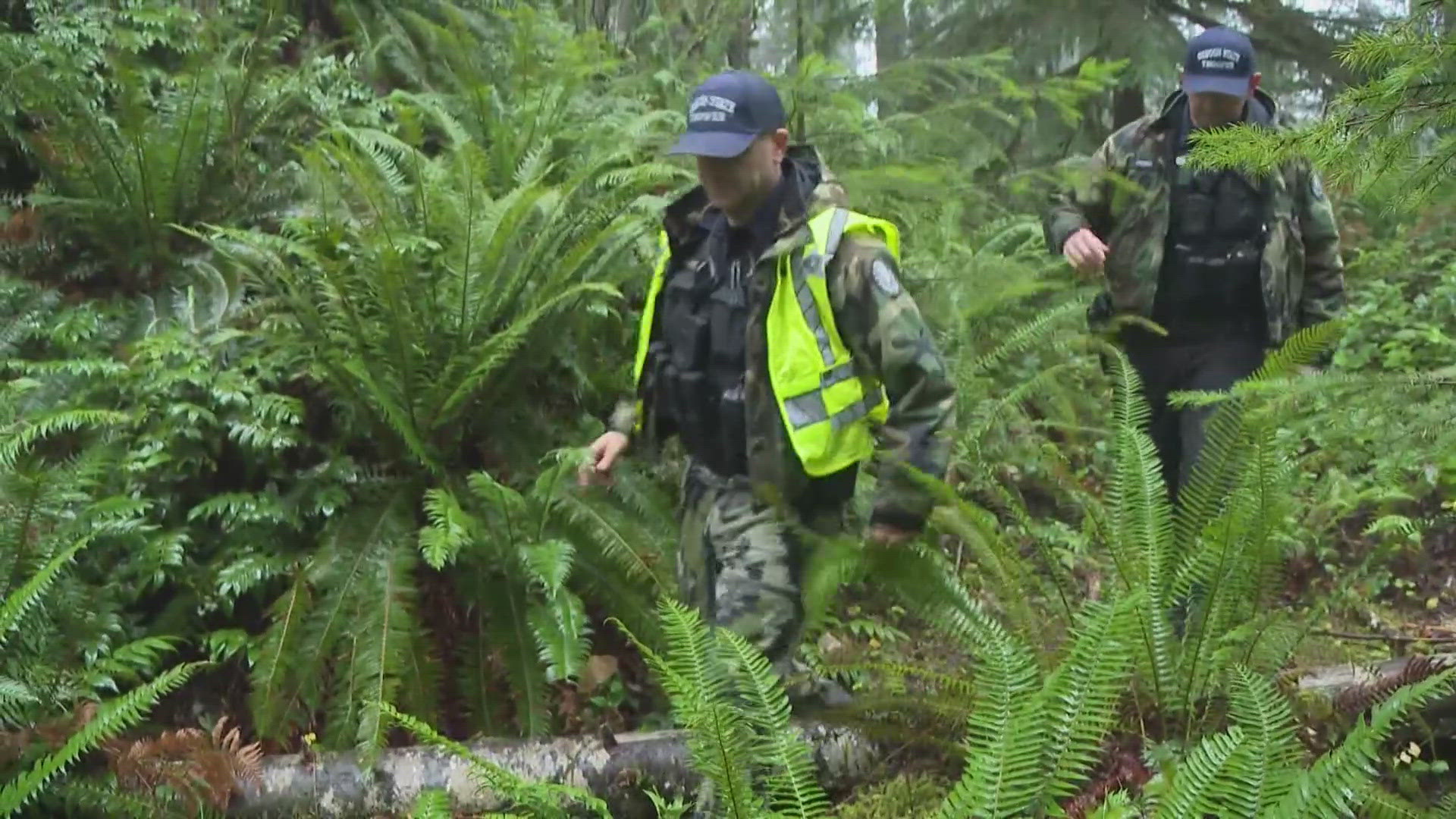 Catching elk poachers with unique sting operation | king5.com